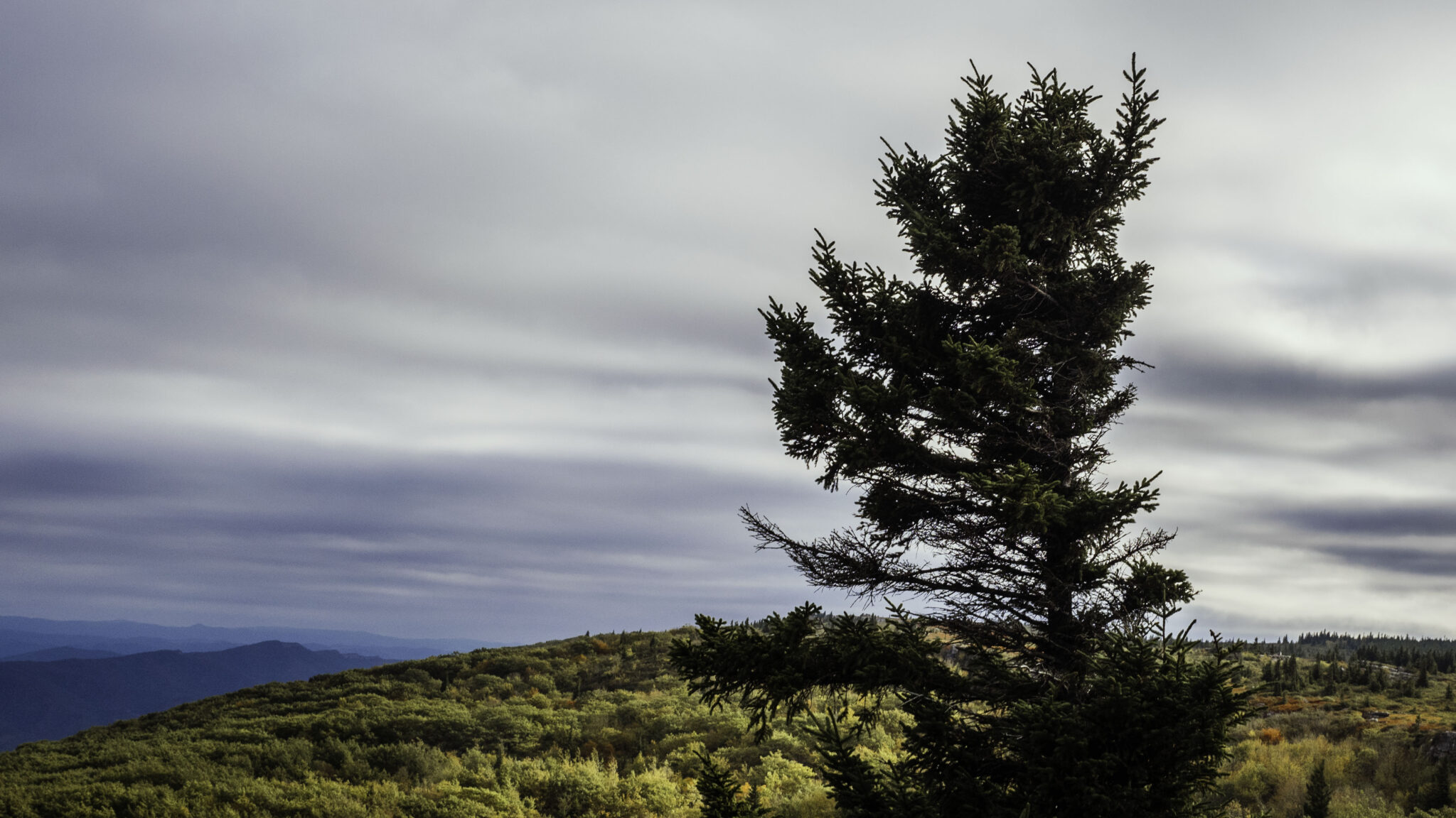 Dolly Sods Wilderness Stewards - West Virginia Highlands Conservancy