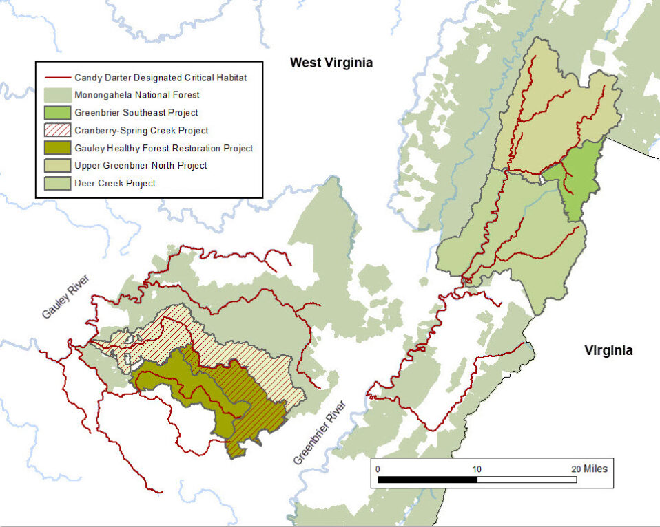 Conservancy Challenges Forest Service Project in the Upper Greenbrier ...