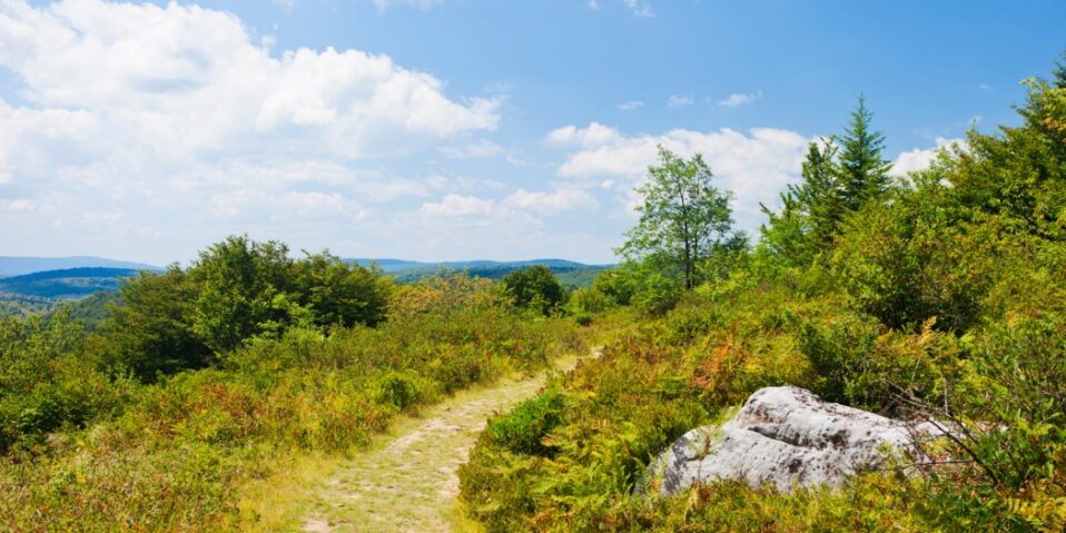 Wilderness Trails (Part Two of Part Two) - West Virginia Highlands ...
