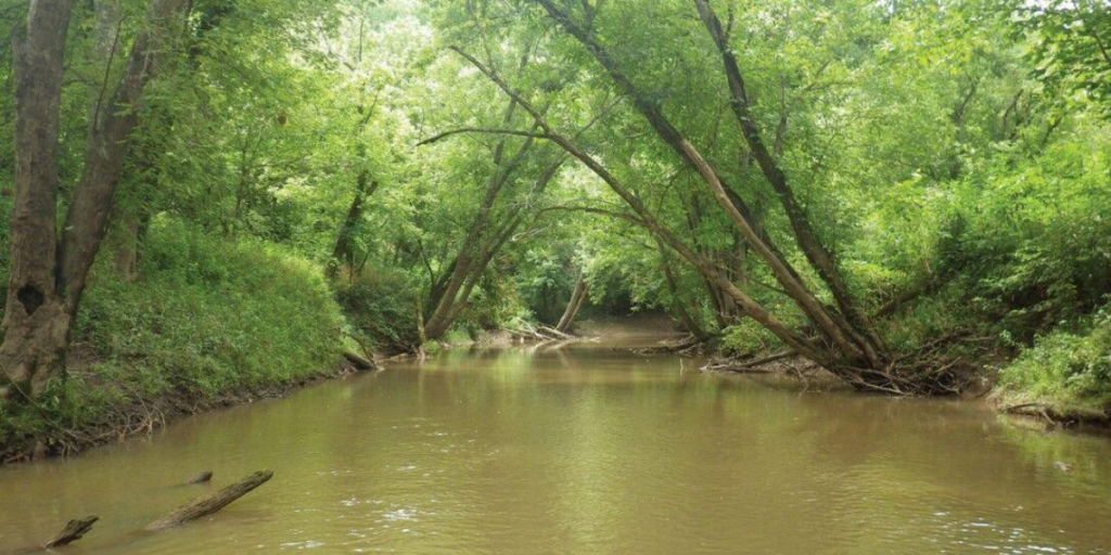 Environmental Groups Secure Historic Settlement to Restore West ...