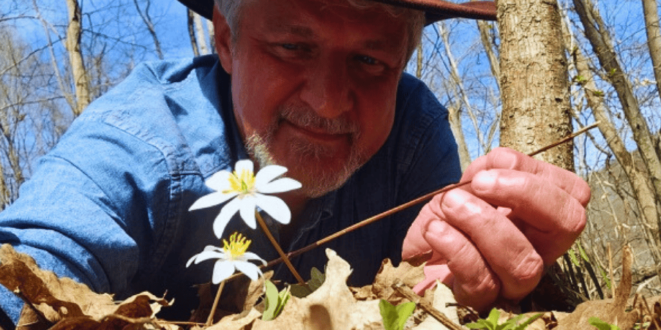 Five spring wildflowers you'll likely encounter in West Virginia - West ...
