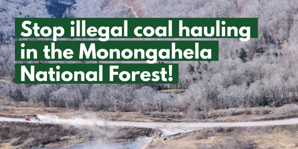 ACTION ALERT: Defend the Monongahela – Stop Illegal Coal Hauling in Our ...