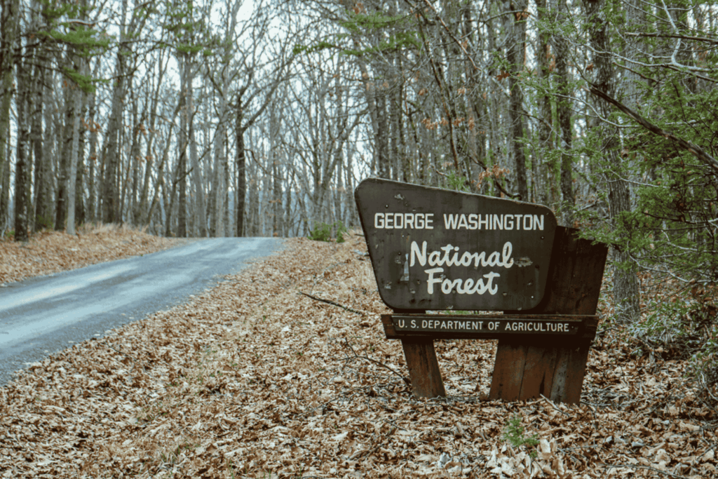 West Virginia unveils daily one-mile trail program in 32 state parks - West Virginia Highlands ...