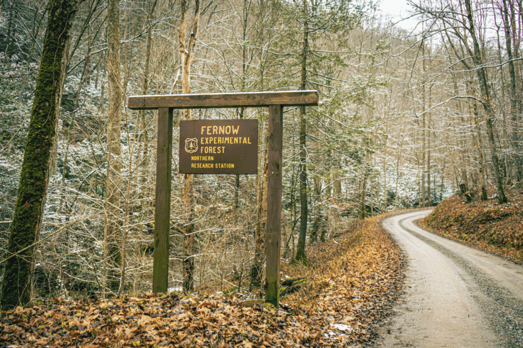 Op-Ed: Save the Fernow Experimental Forest — and protect West Virginia ...