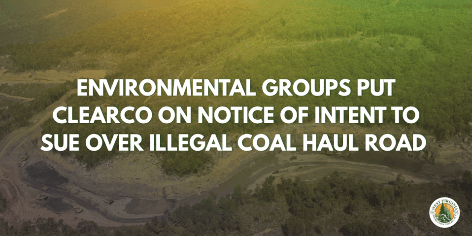 Environmental groups put Clearco on notice of intent to sue over ...